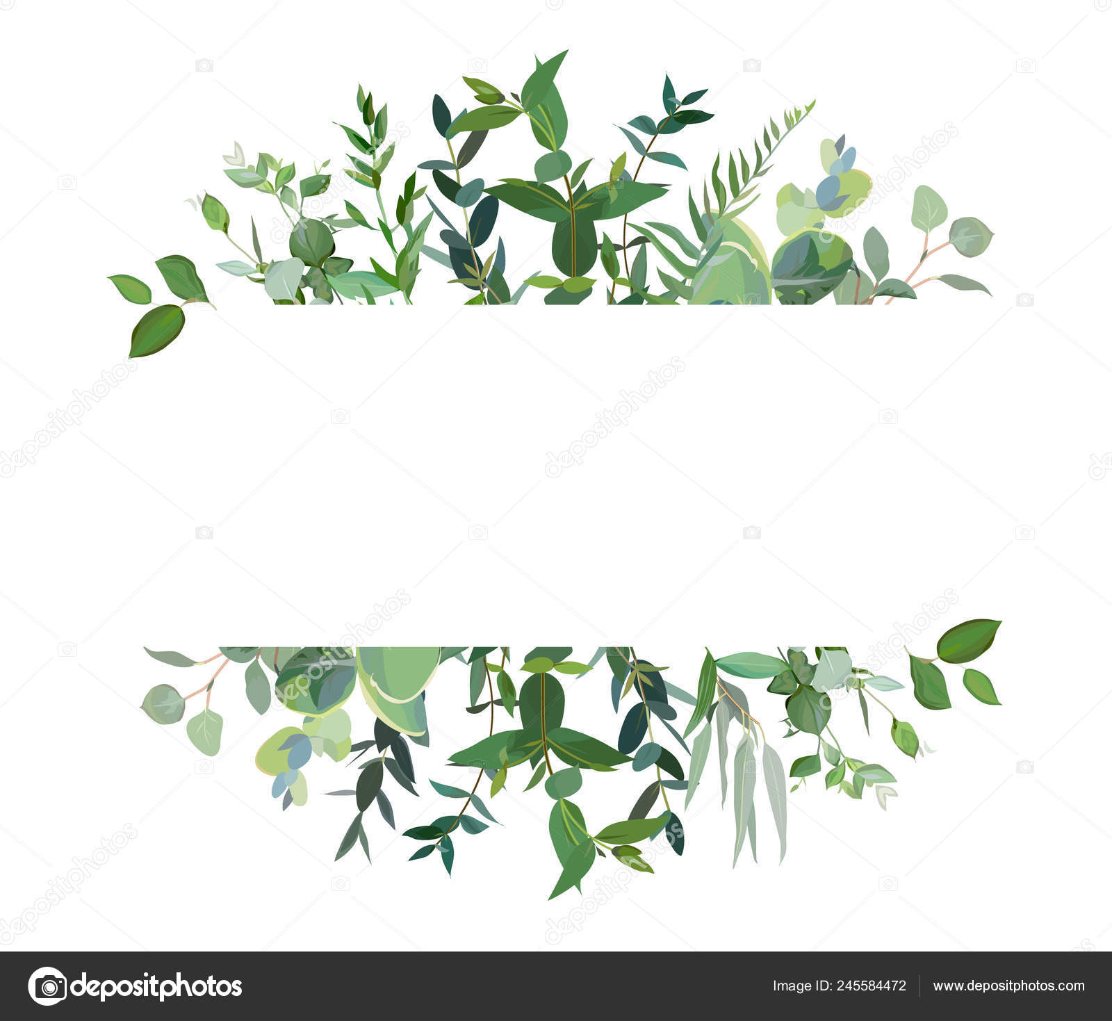 Horizontal botanical vector design banner. Stock Vector Image by ...