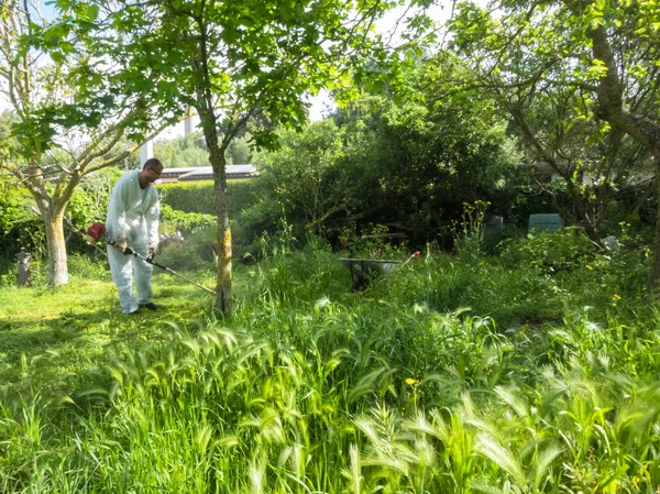 Man spraying orchard Stock Photos, Royalty Free Man spraying orchard ...