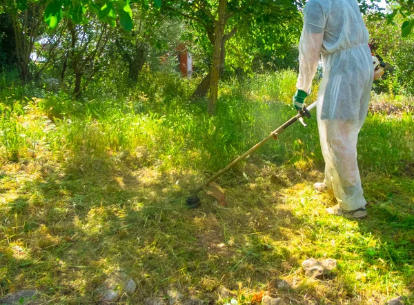 Man spraying orchard Stock Photos, Royalty Free Man spraying orchard ...