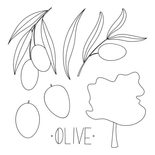 Coloring Pages Of Olive Trees