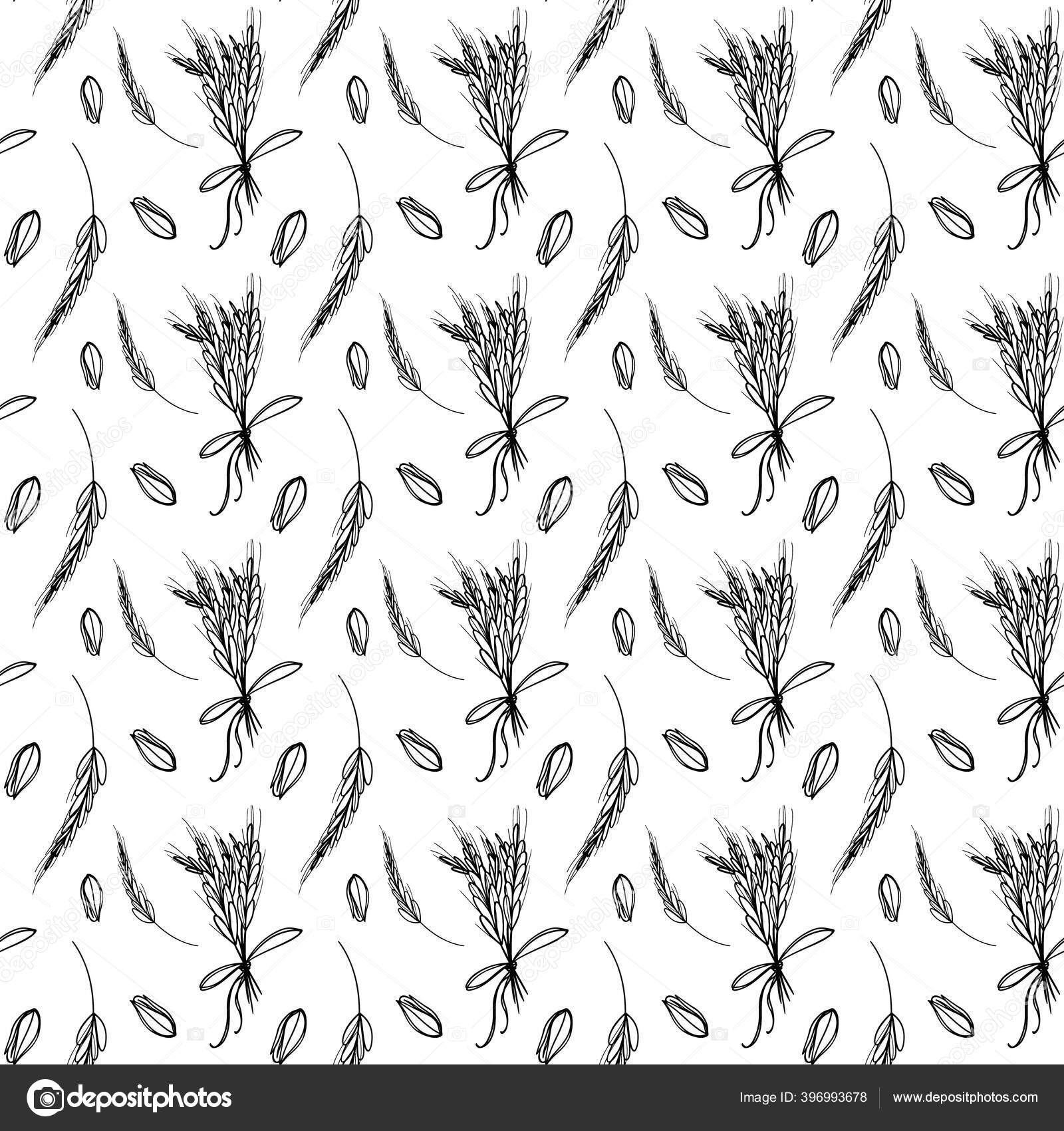 Cute Kawaii Square Pattern Wheat Spikelets Grains White Background ...