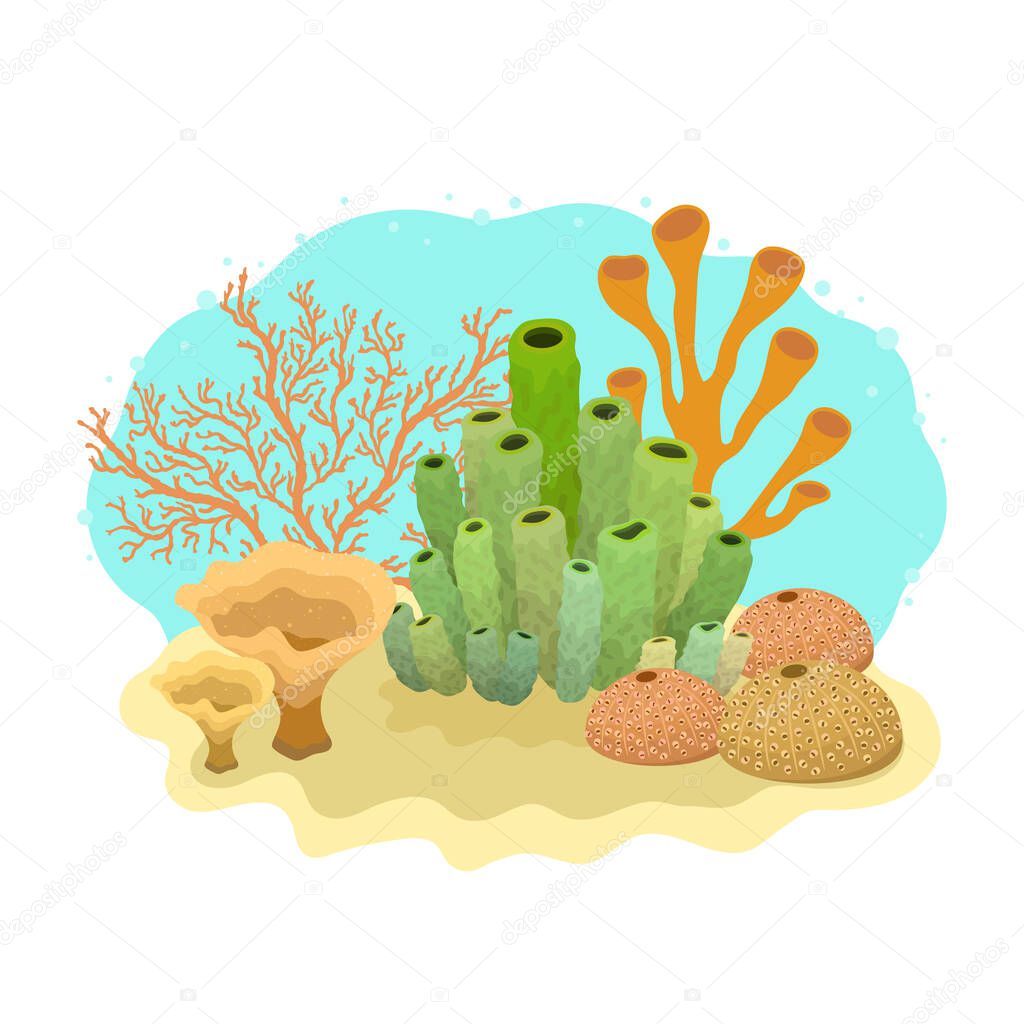 Clipart de dibujos animados submarinos con corales sobre fondo blanco ...