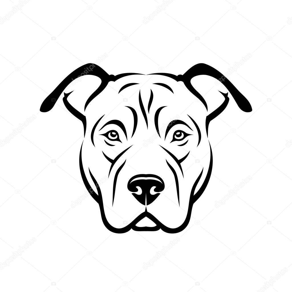 Disegno Del Muso Del Cane Pitbull
