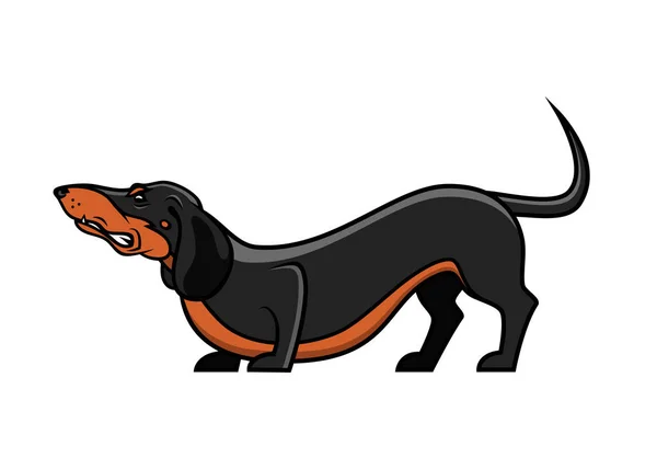 Angry dachshund Vector Art Stock Images | Depositphotos