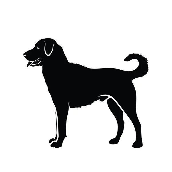 20 Kangal dog Vector Images, Kangal dog Illustrations | Depositphotos