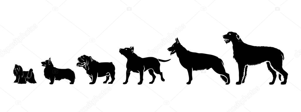 Dogs standing Vector Art Stock Images | Depositphotos