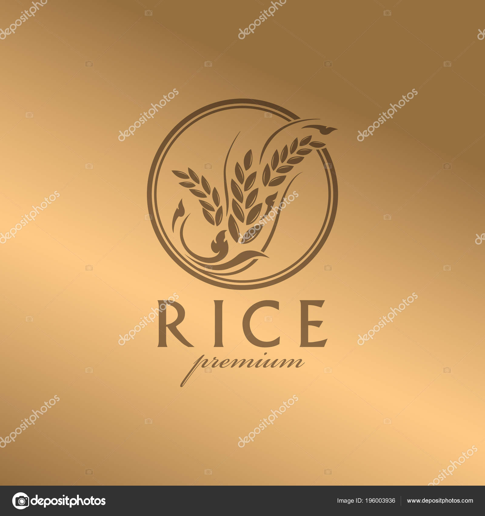 Rice Logo Vector