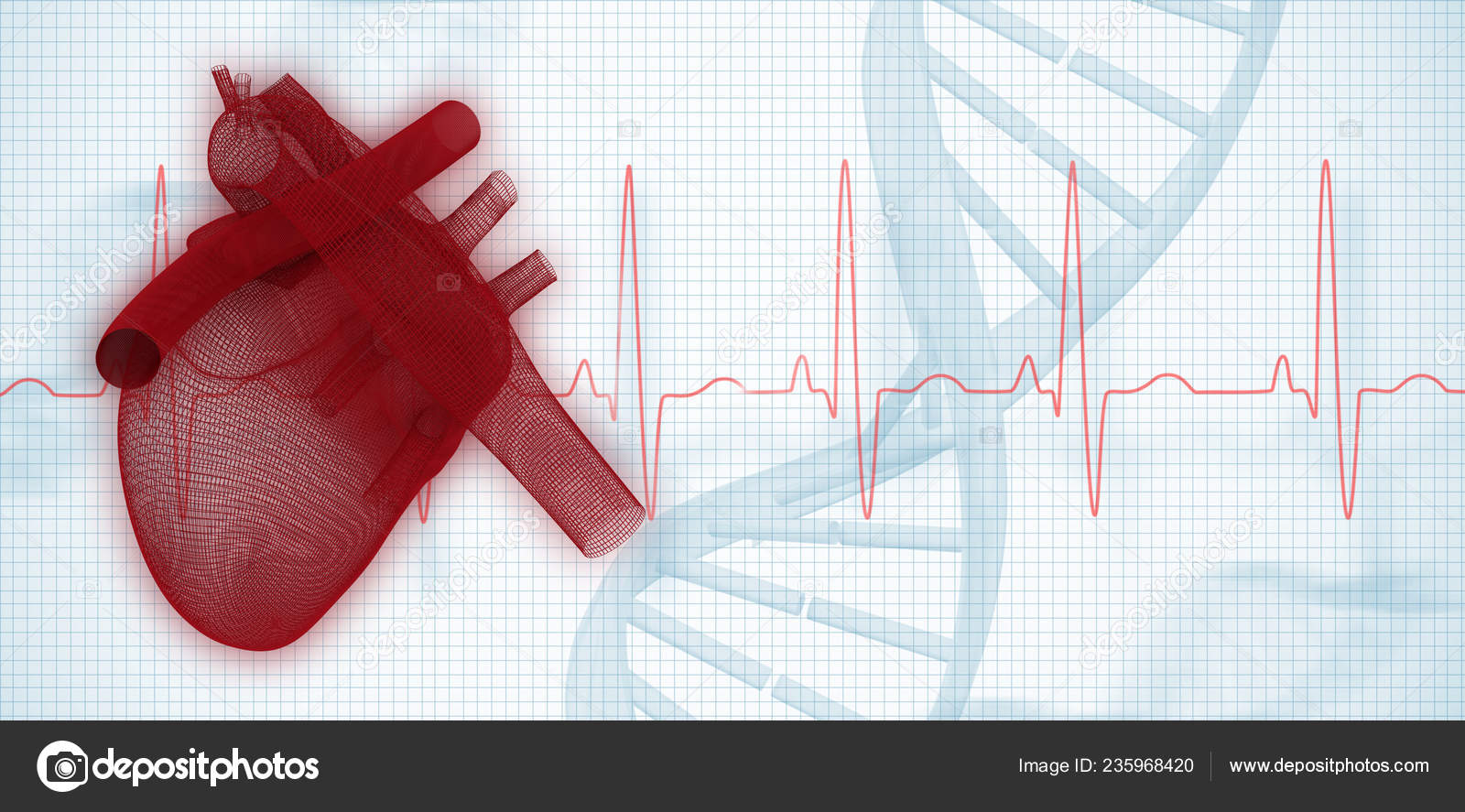 Image Human Heart Red Ecg Line Faint Helix — Stock Photo ...