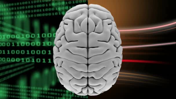Overhead View White Digital Brain Dark Background Full Binary Code ... Overhead View White Digital Brain Dark Background Full Binary Code ...