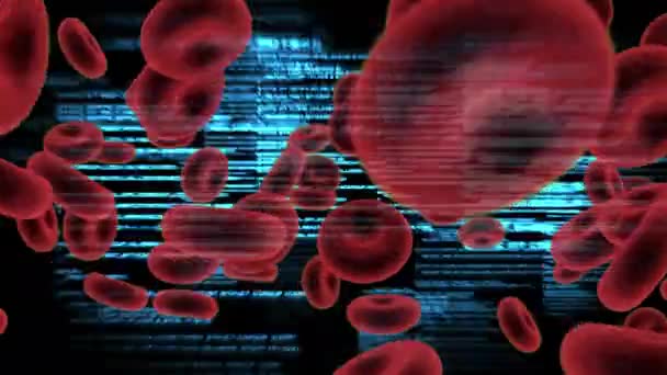 Digital Animation Red Blood Cells Moving Screen While Background Shows ...