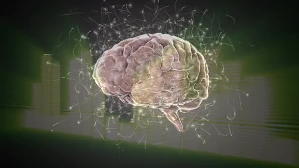 Moving Brain Animation