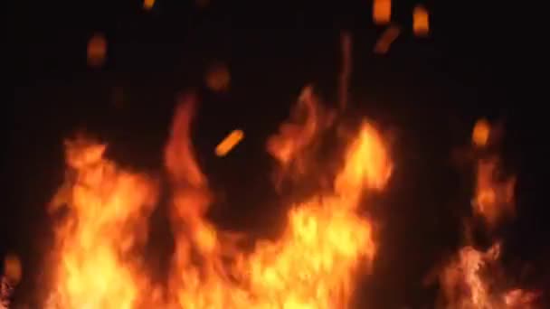 Fire Burning Seamless Loop Animation Super Burning Fire Line Isolated ...