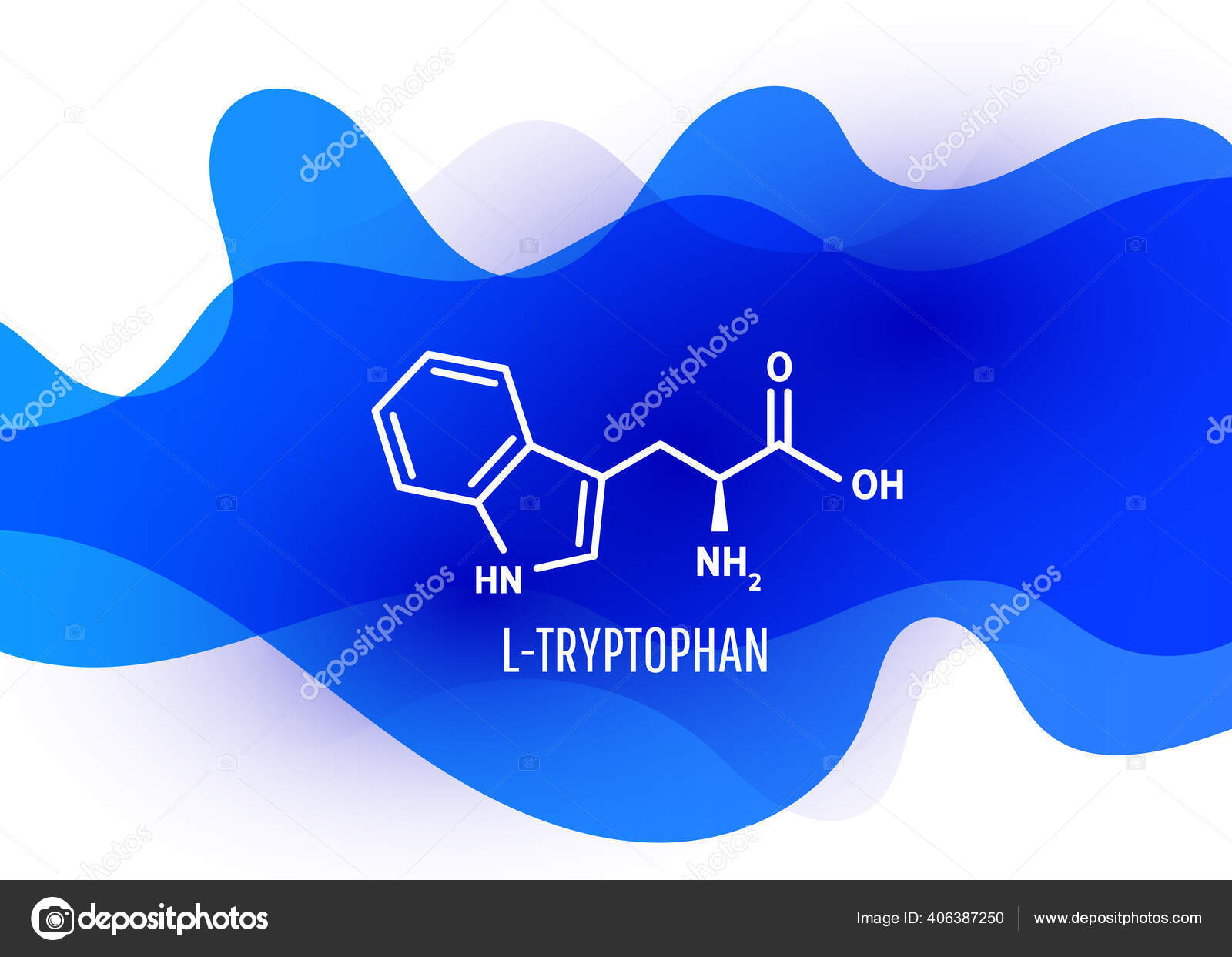 Tryptophan skeletal formula and structure with liquid fluid shapes blue ...