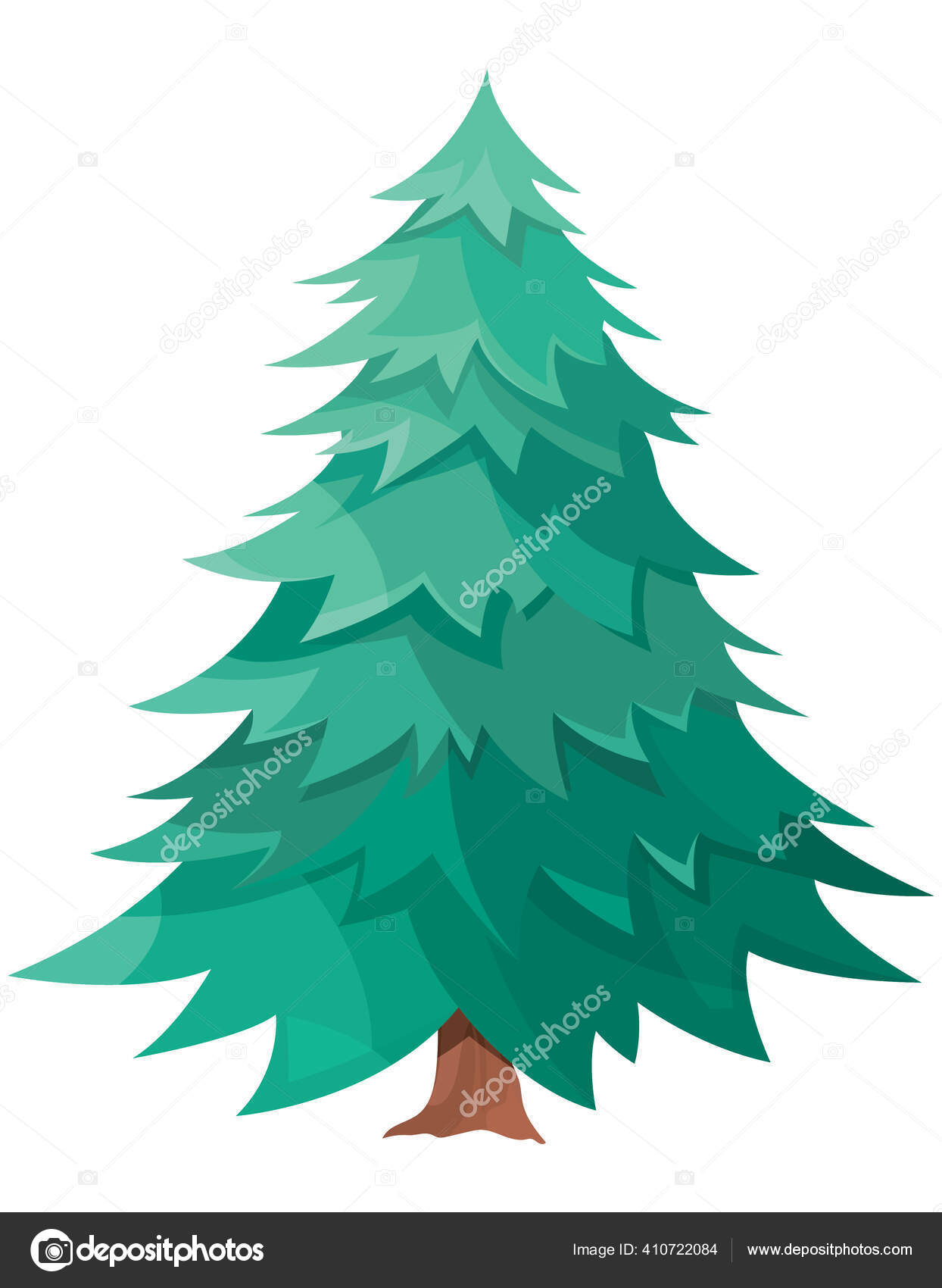 Spruce Isolated White Background Conifer Tree Cartoon Style Stock ...