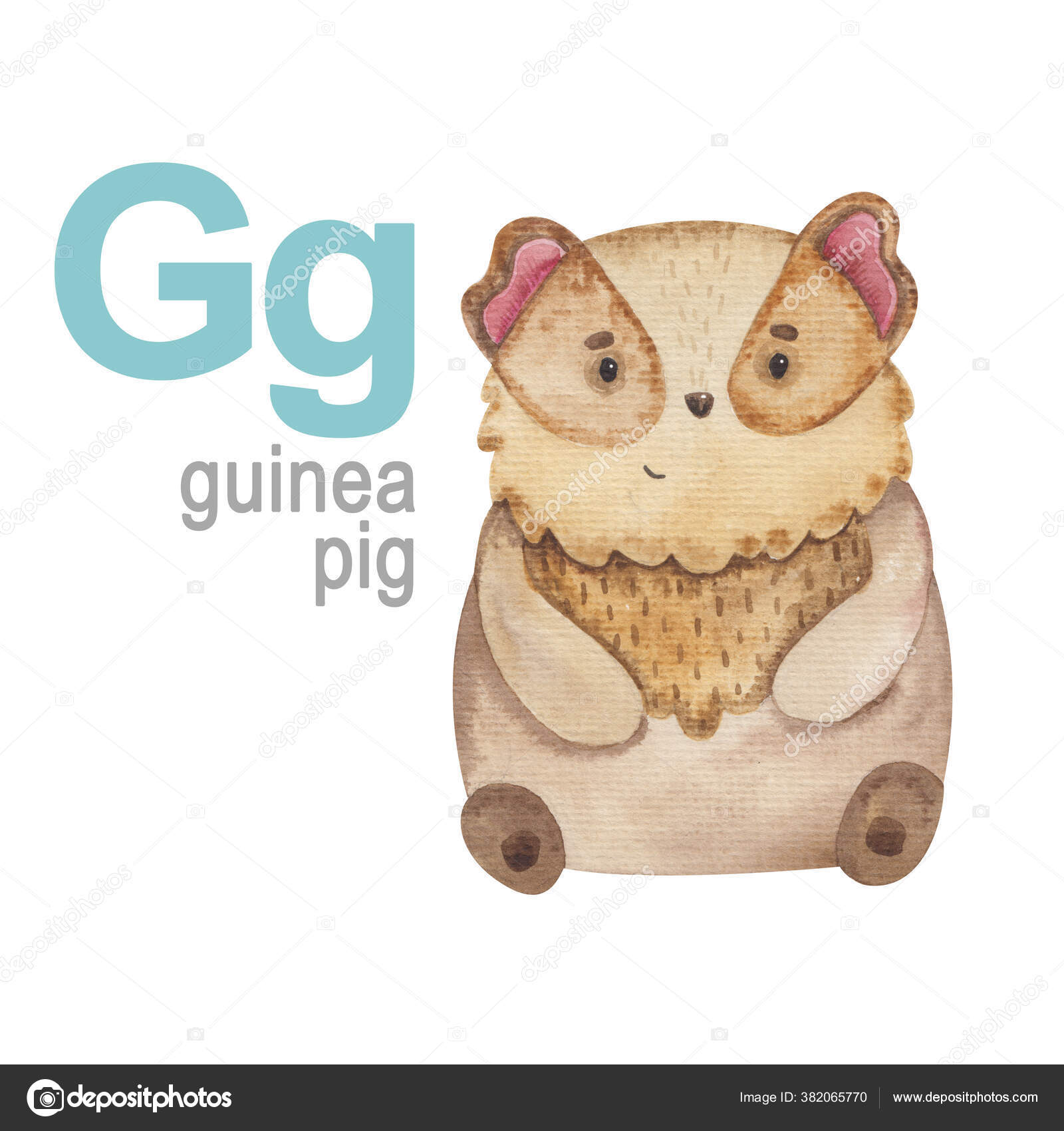 Letter Set Animal Alphabet Illustration Guinea Pig Stock Photo by ...
