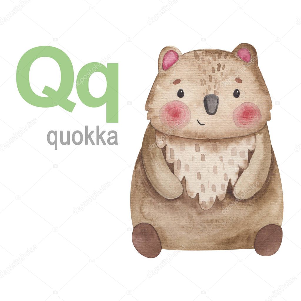 q conjunto de letras de animales alfabeto ilustración quokka 2023