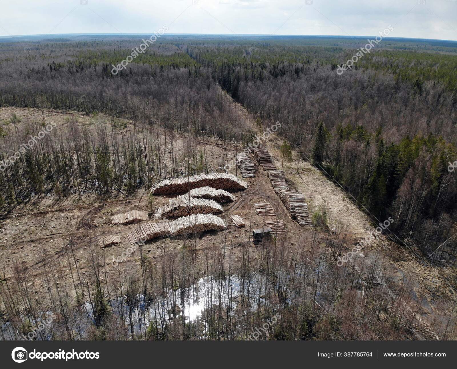 Aerial view deforestation tree cutting spring or autumn forest. Ecology ...