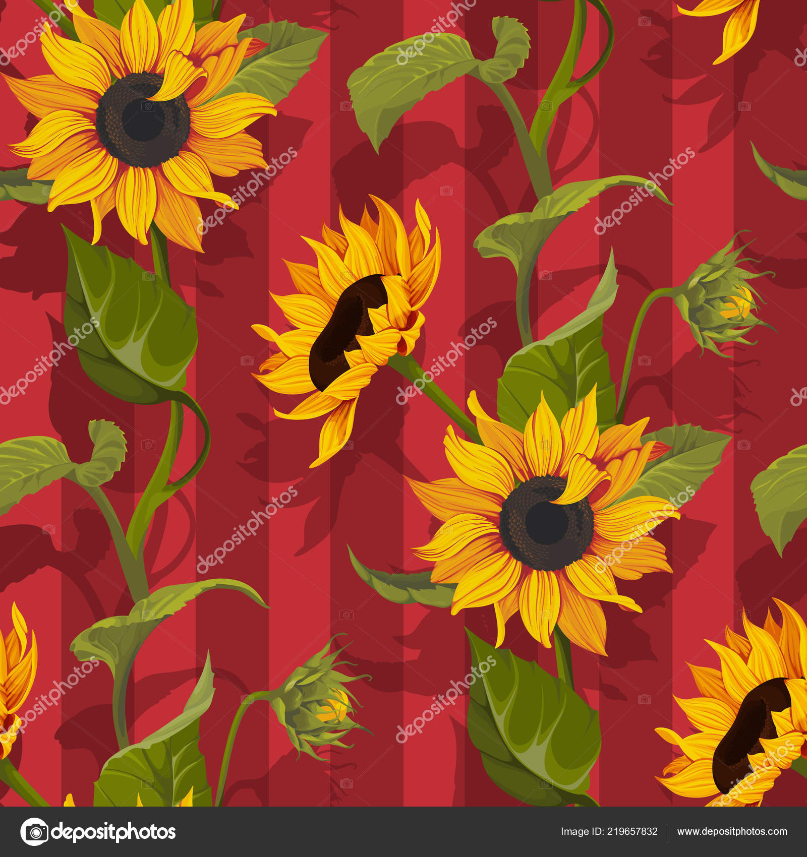 Red Sunflower Wallpaper