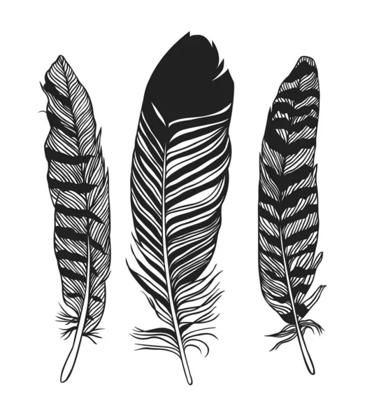 Raven Feather Drawing