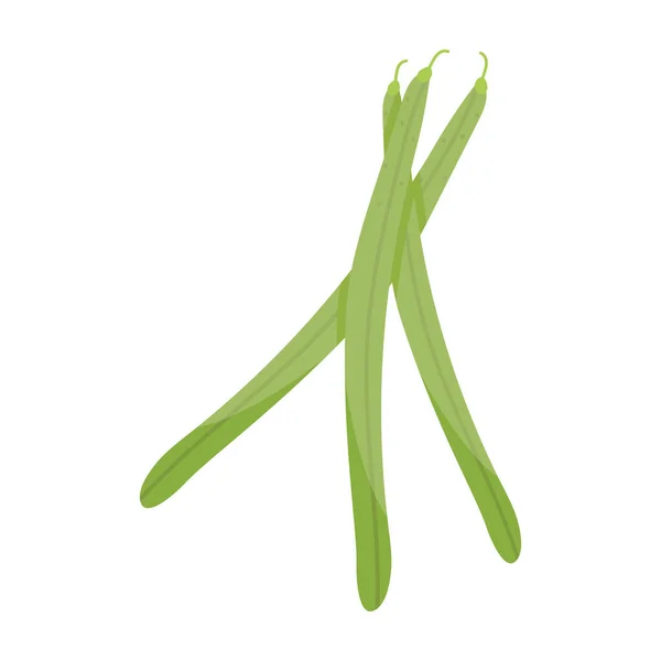 239 String beans Vector Images - Free & Royalty-free String beans ...