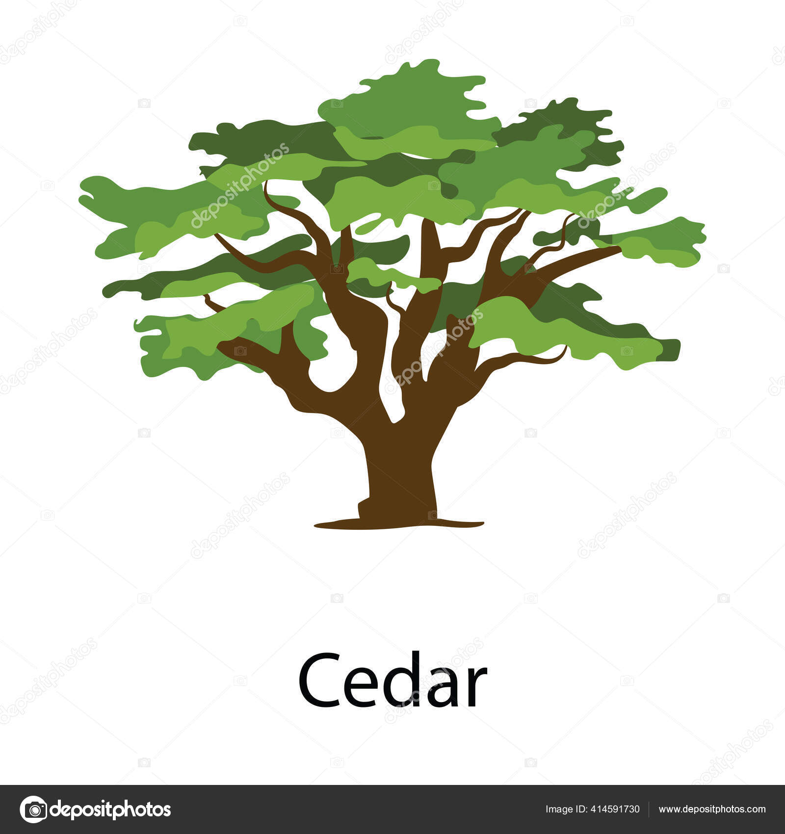 Cedar Tree Icon Vector Design Use Ornamental Purposes Stock Vector by ...