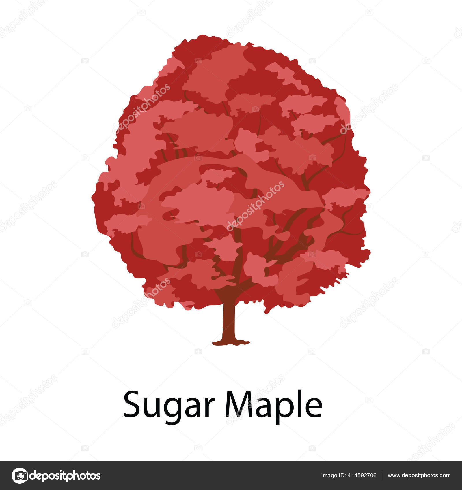 Sugar Maple Tree Silhouette