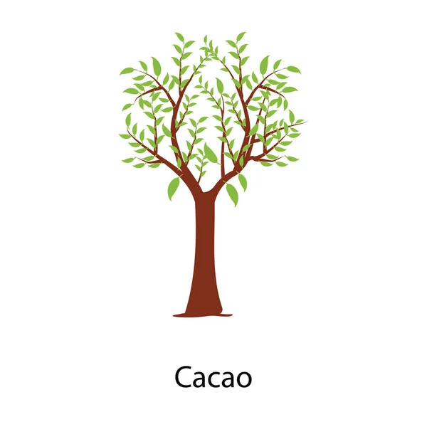 100,000 Cacao tree Vector Images | Depositphotos