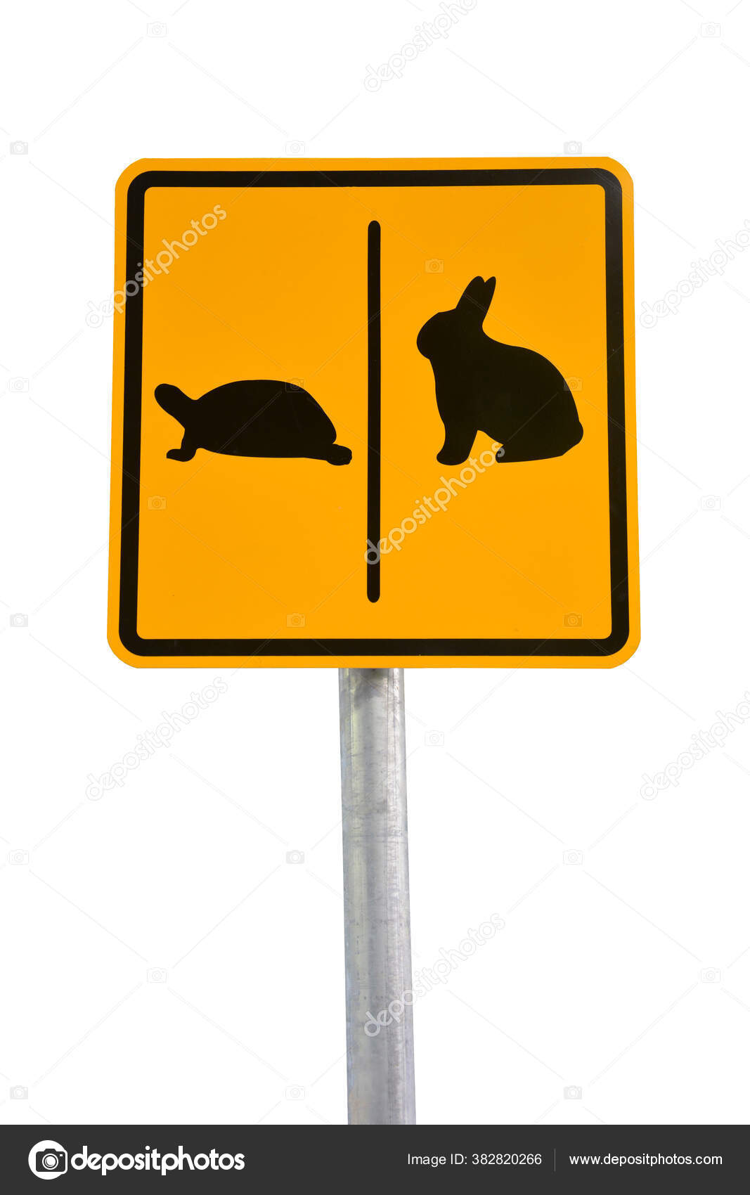Yellow Turtle Rabbit Sign Pole Isolated White Background Stock Photo by ...
