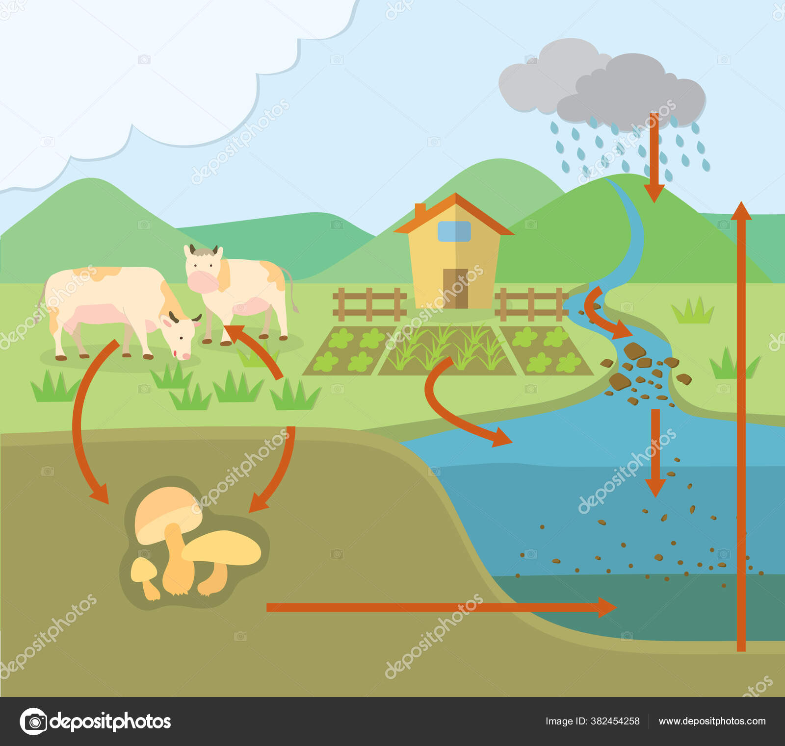 Phosphorus Cycle For Kids Animation