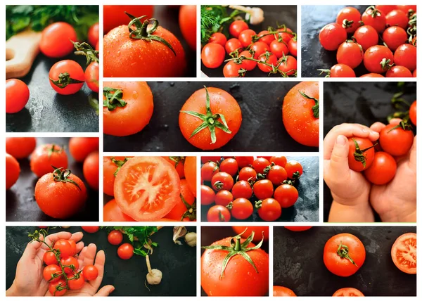 Collage de tomate Stock Photos, Royalty Free Collage de tomate Images ...