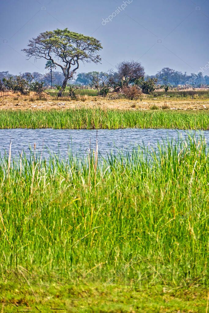 Delta del Okavango, Pastizales del Okavango, Patrimonio de la Humanidad ...