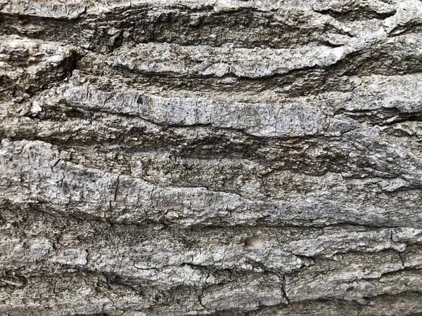 Natural structure of the basalt column Stock Photos, Royalty Free ...