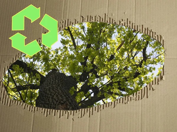 Recycling tree Stock Photos, Royalty Free Recycling tree Images ...