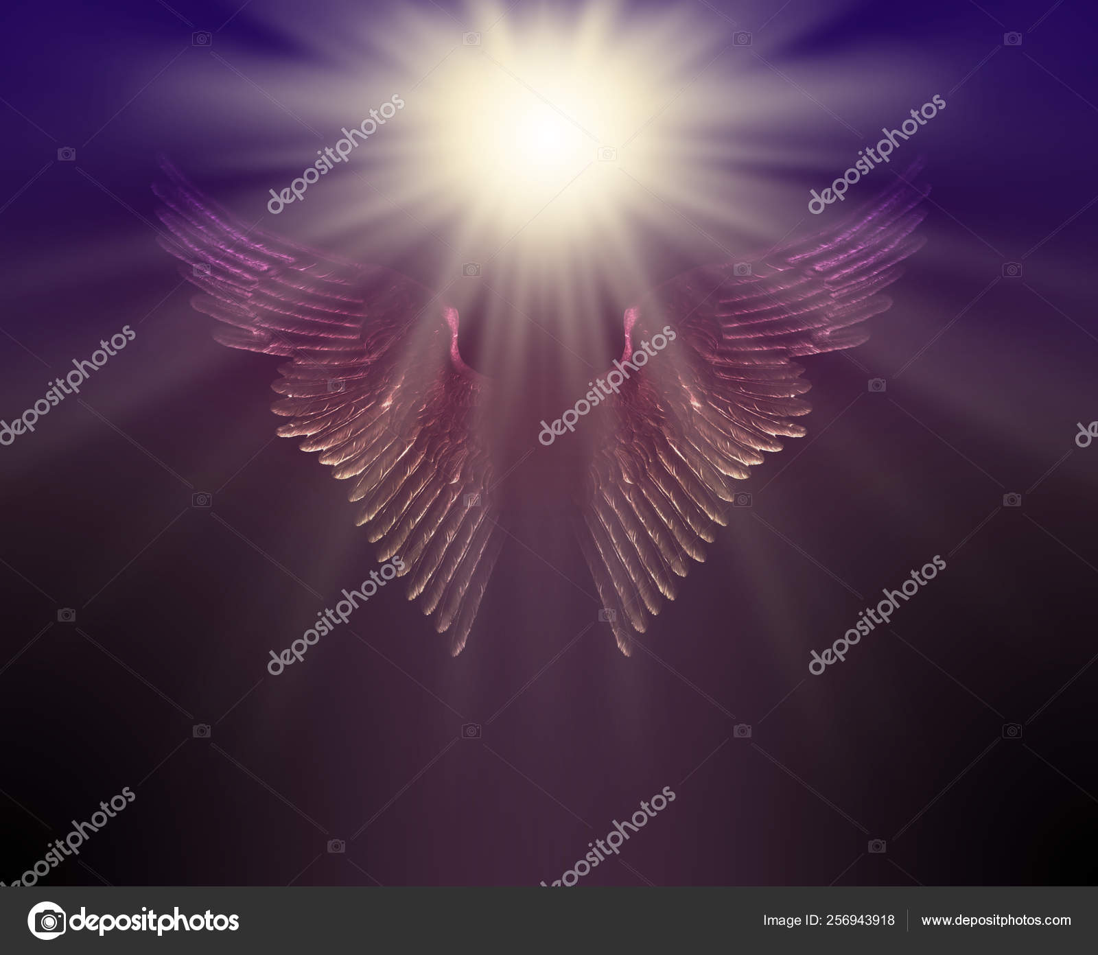 Guiding Light Your Guardian Angel Bright White Light Hovering Pair ...