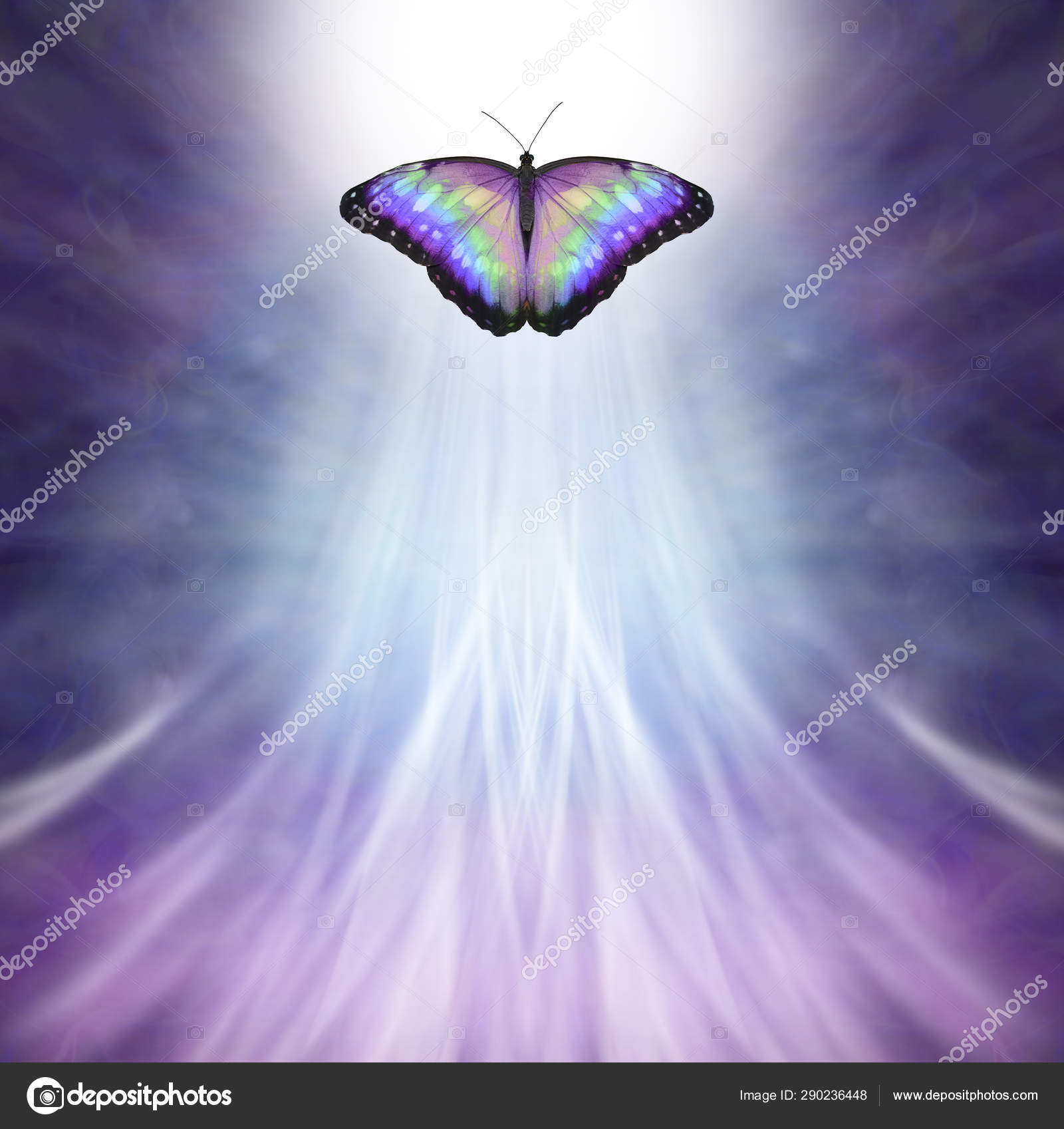 Multicoloured Butterfly Passing Light Metaphor Death Multicoloured ...