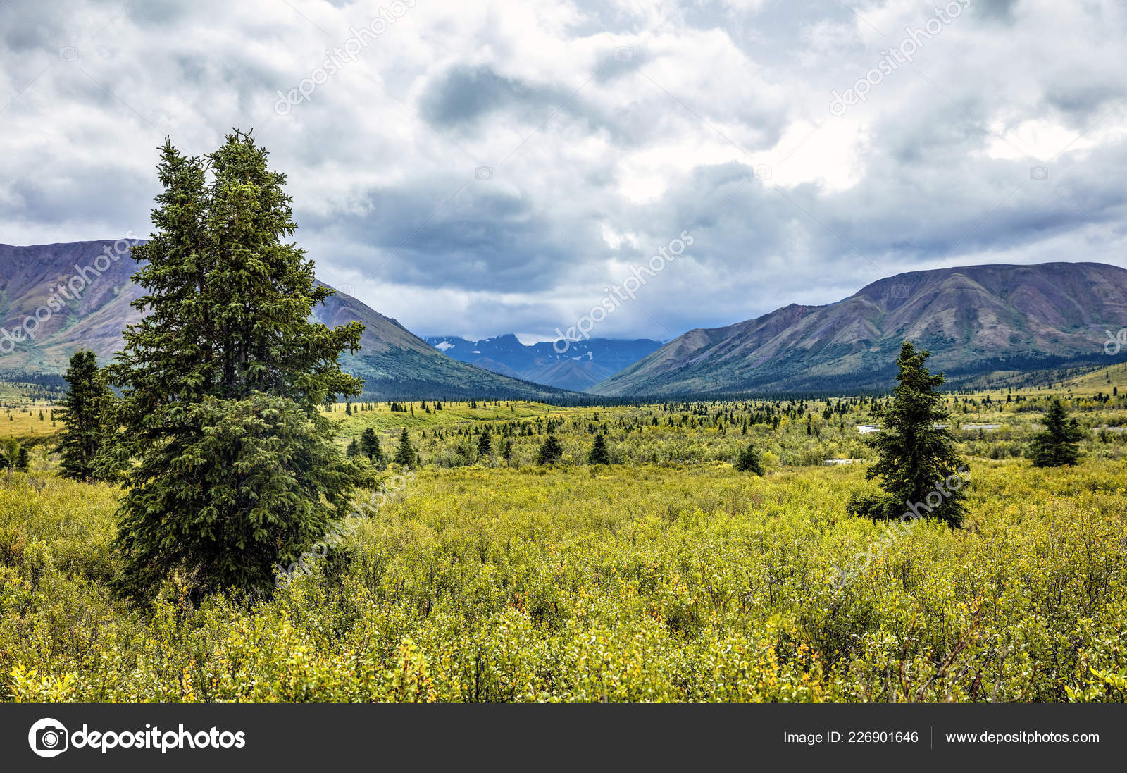 View Tundra Next Blm Arctic Circle Monument Sign Dalton Highway — Stock ... View Tundra Next Blm Arctic Circle Monument Sign Dalton Highway — Stock ...