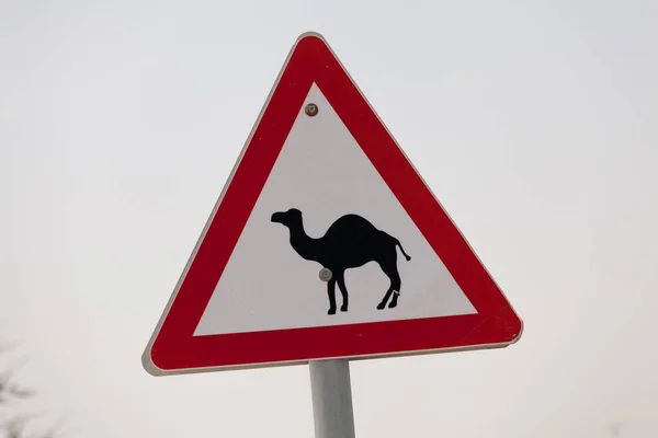 Camel crossing sign Stock Photos, Royalty Free Camel crossing sign ...