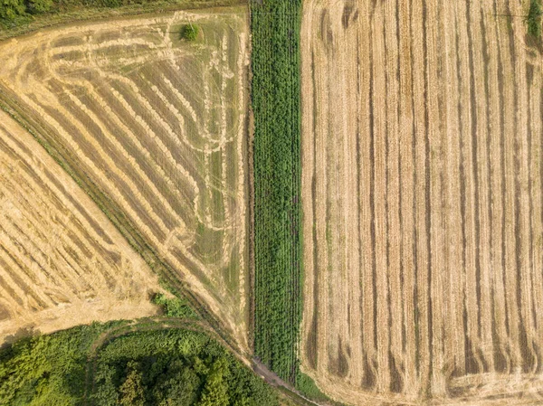 Farm land development Stock Photos, Royalty Free Farm land development ...