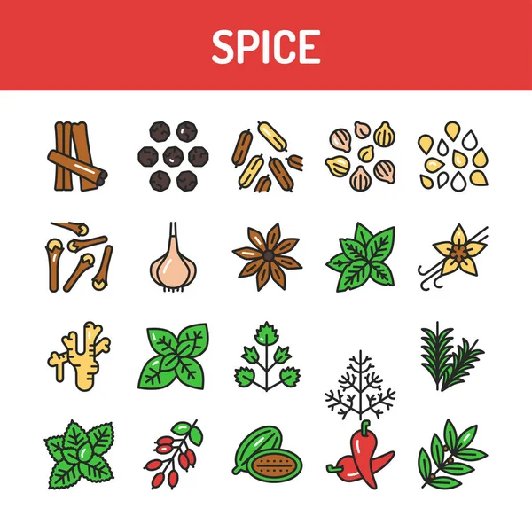Herbs and spices icons Stock Vector Image by ©mustahtar #121686644