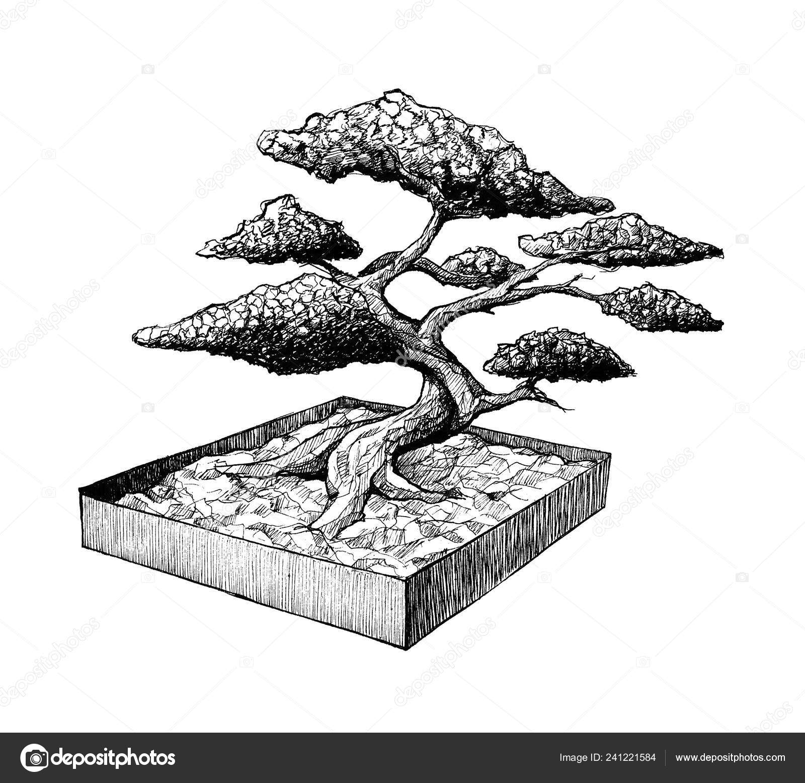 Bonsai Tree Sketch