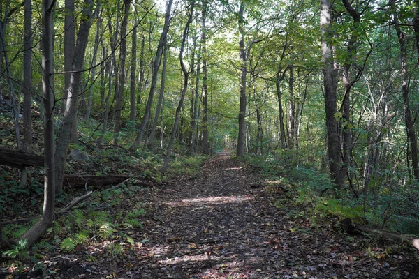 Park trail system Stock Photos, Royalty Free Park trail system Images ...