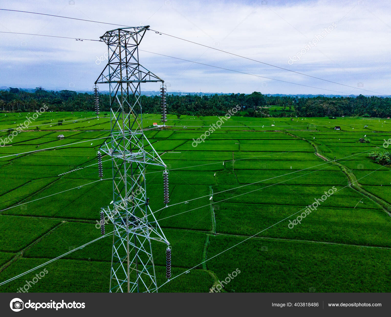 Emerald Green Rice Terraces North Tegallalang Village Most Famous Rice ...