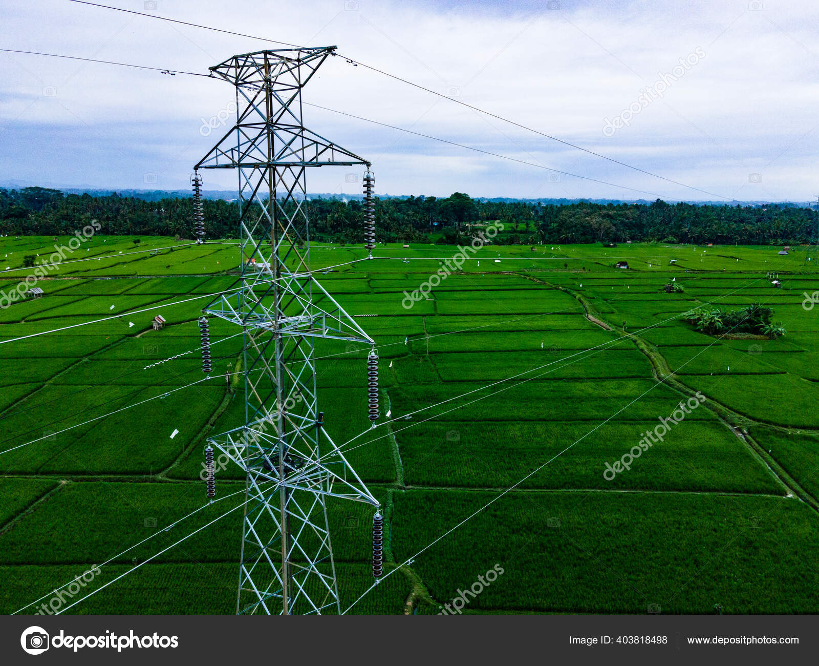 Emerald Green Rice Terraces North Tegallalang Village Most Famous Rice ...