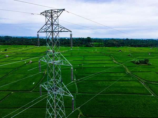Emerald Green Rice Terraces North Tegallalang Village Most Famous Rice ...