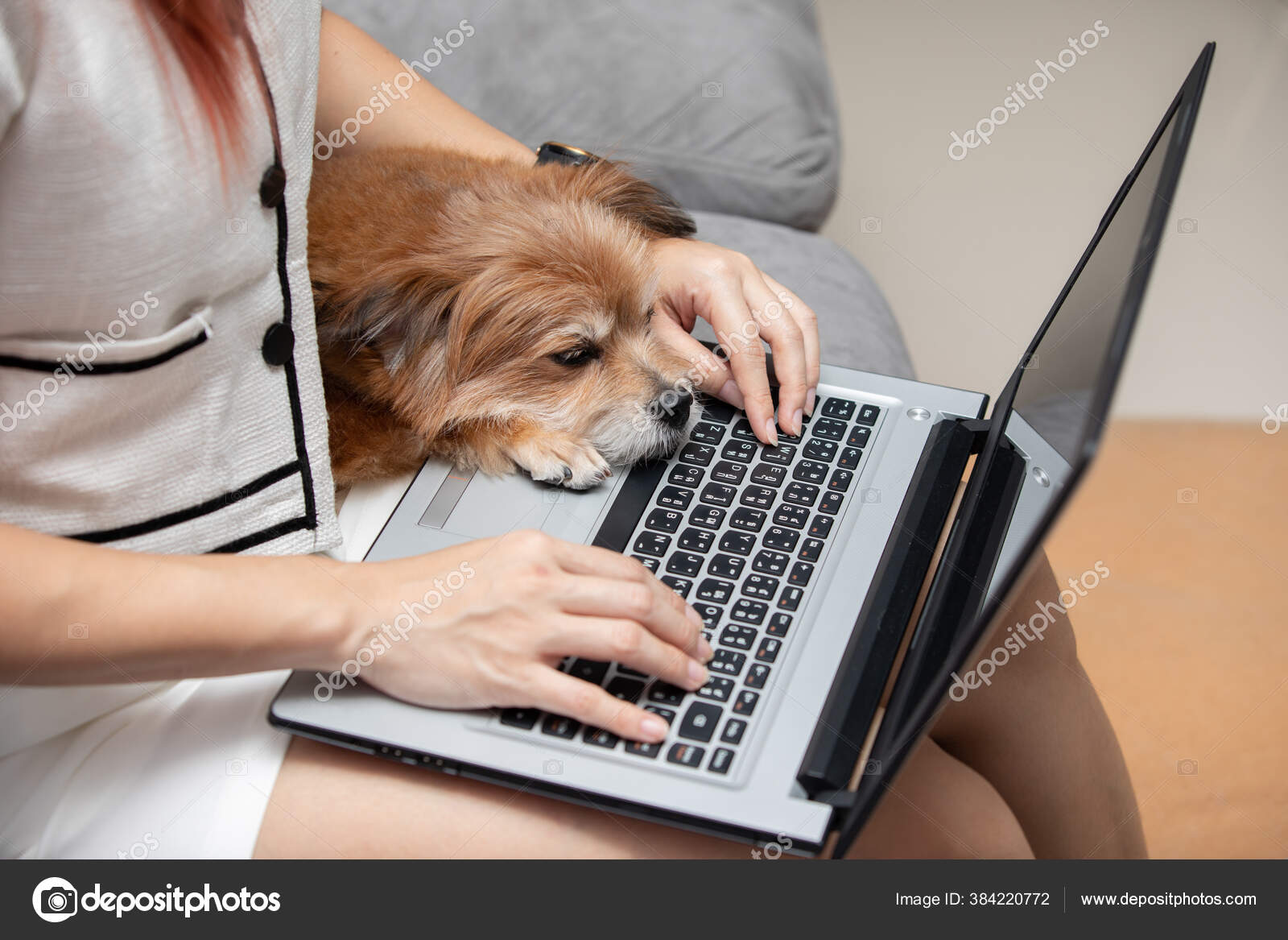 Dog Typing