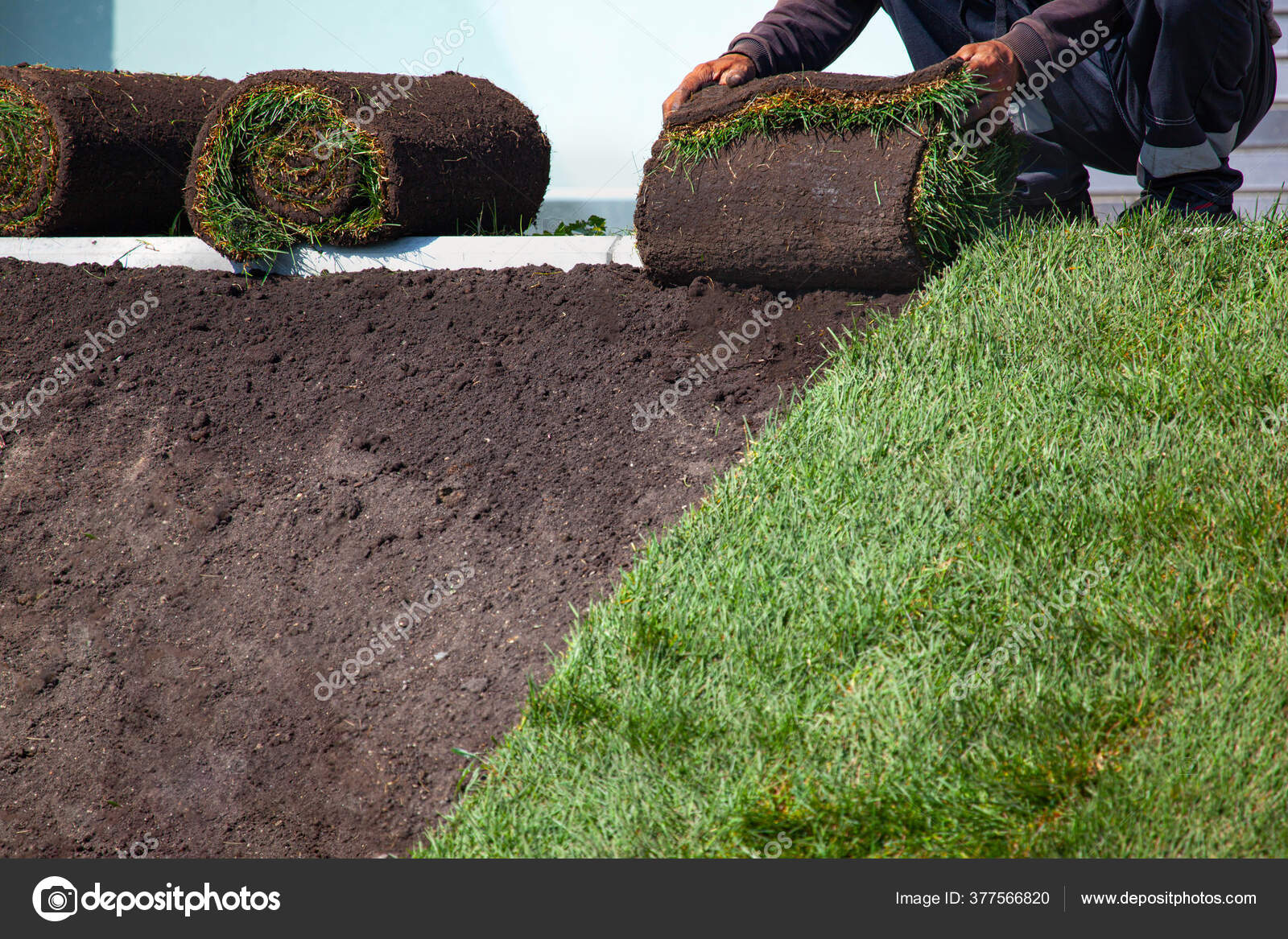 Man laying sod for new garden lawn, gardening — Stock Photo © Shvaygert ...