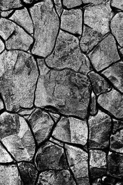 Seamless Cracked Stone Texture