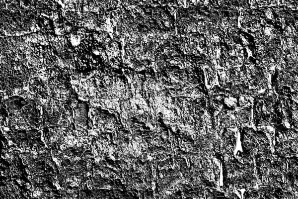 Bw texture Stock Photos, Royalty Free Bw texture Images | Depositphotos
