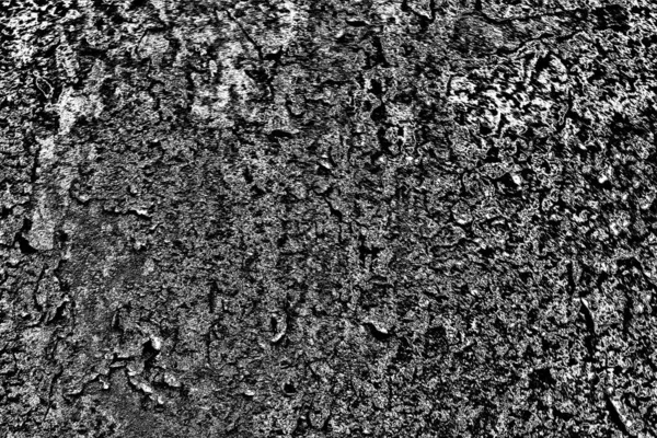 Tree ash tree texture Stock Photos, Royalty Free Tree ash tree texture ...