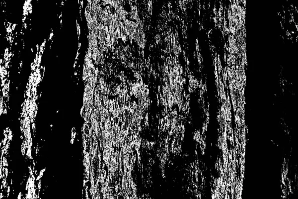 Trees no background Stock Photos, Royalty Free Trees no background ...